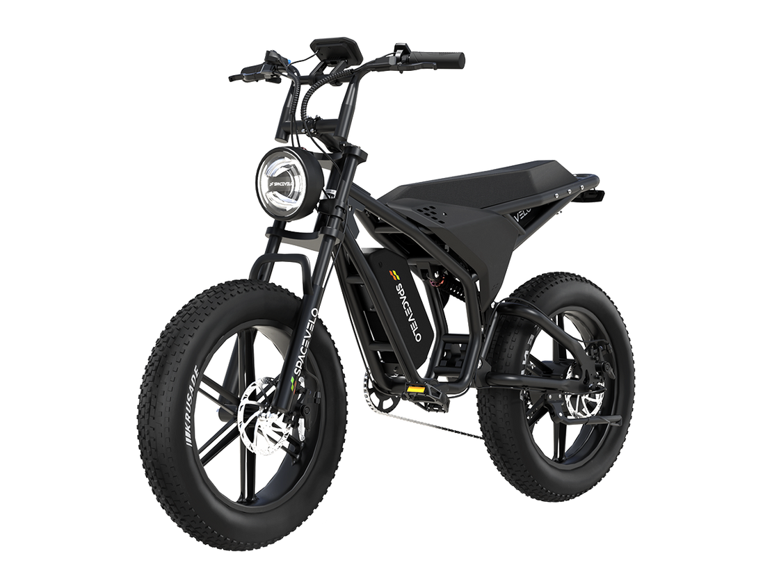 Best hundred miles ebike | Fat tire 750W Electric Bike | Spacevelo ...