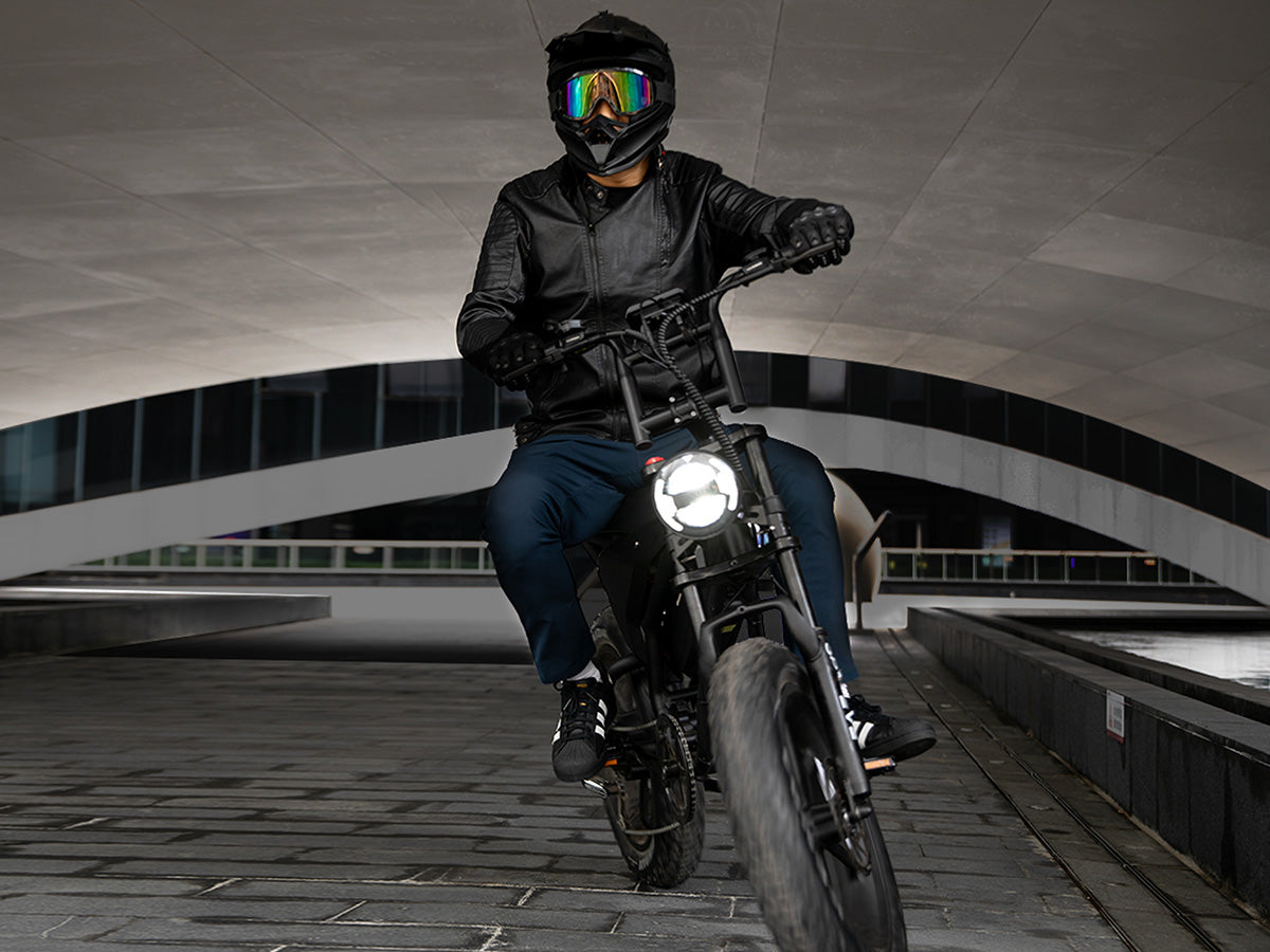 Best hundred miles ebike | Fat tire 750W Electric Bike | Spacevelo ...